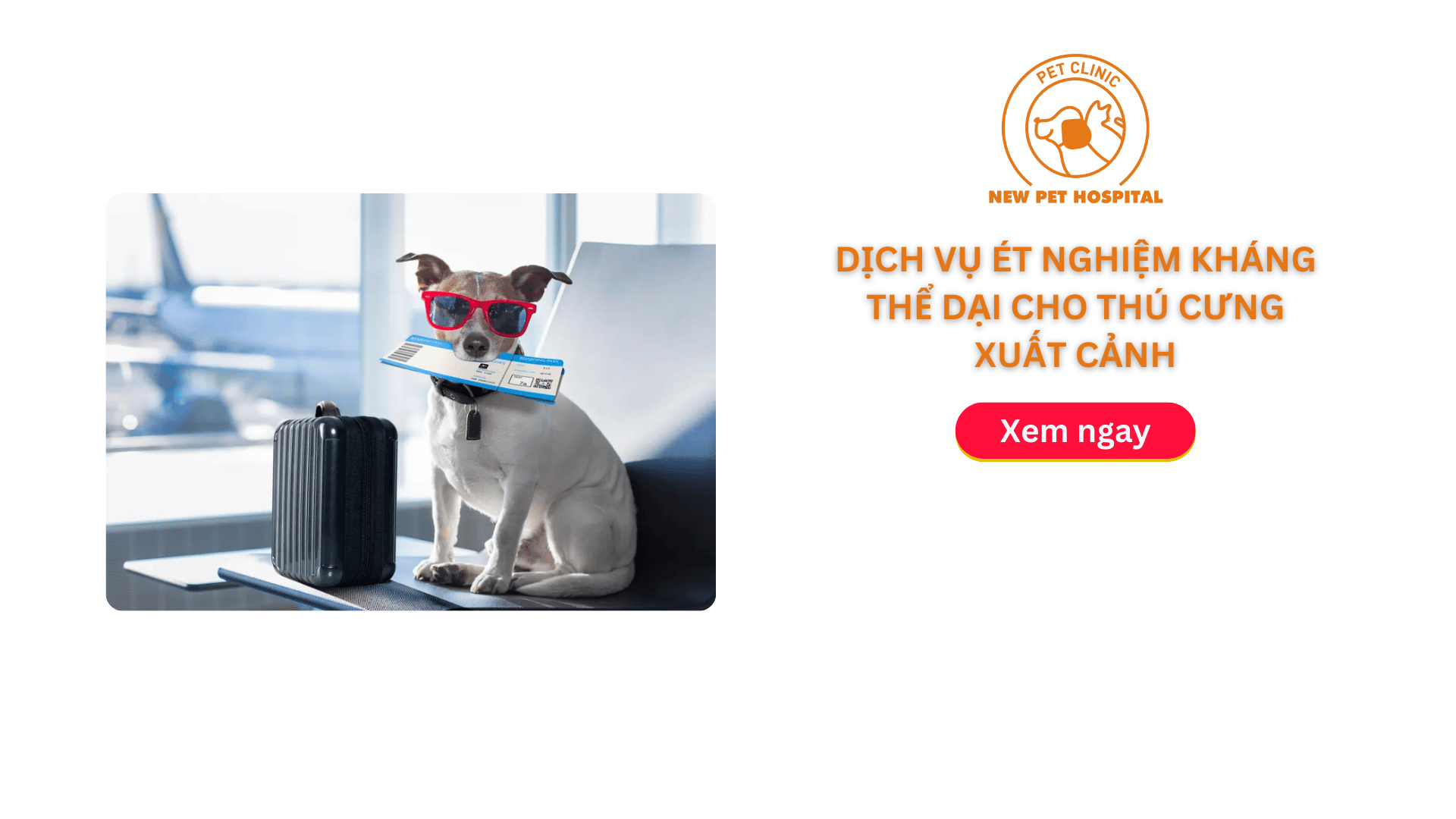 Xét nghiệm kháng thể dại cho thú cưng xuất cảnh - New Pet Hospital
